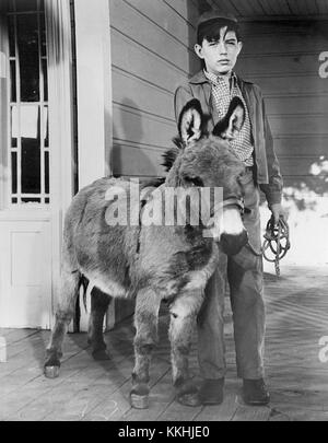 Jerry Mathers, best known for his role as Theodore 'Beaver' Cleaver on ...
