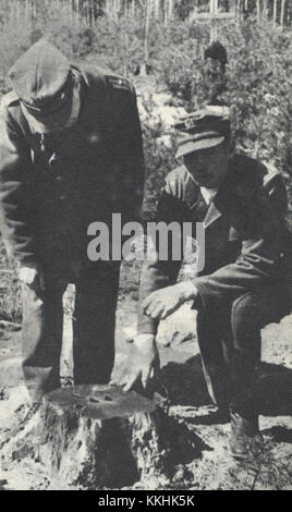 The investigation site at Palmiry, Poland, where mass executions ...