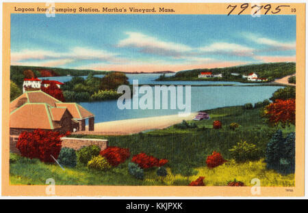 Lagoon from Pumping Station, Martha's Vineyard, Mass. , Lakes & ponds ...