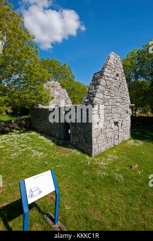 Remains of Temple Cronan (XII century, sculpted head at top right) in ...