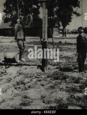 This historical photograph depicts the tragic execution of Polish ...
