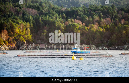 Norwegian fish farm for salmon production in natural environment. Sea ...