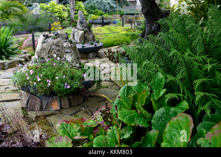 alpine,alpines,trough,troughs,display,container,gardening,garden ...