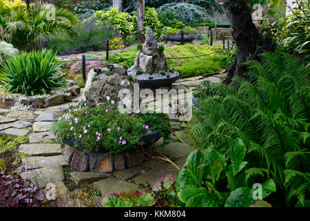 alpine,alpines,trough,troughs,display,container,gardening,garden ...