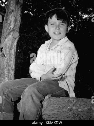Jerry Mathers, best known for his role as Theodore 'Beaver' Cleaver on ...