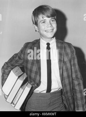 Jon Provost, actor known for his role as Timmy in the TV show *Lassie ...