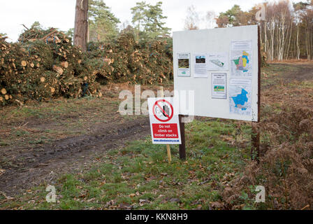 Forestry tree felling signs to create more heathland habitat, on Upper ...