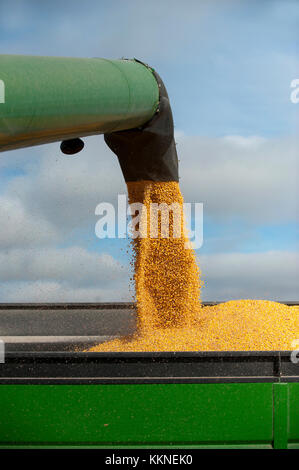 COMBINE CHUTE UNLOADING CORN IN TO JOHN DEERE HOPPER IN UTICA ...