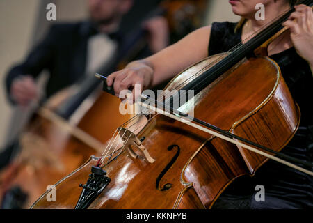 Closeup of the musician playing the cello during a concert Stock Photo ...