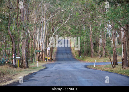 Fork in the road, forest paths with autumn leaves Stock Photo - Alamy