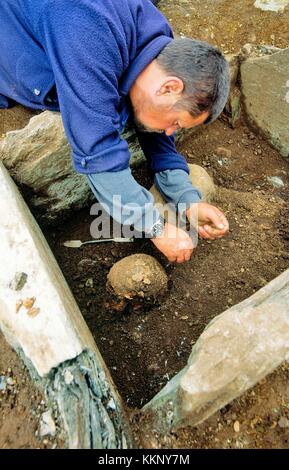 Archaeological excavation. Stone burial cist at Upper Largie timber ...