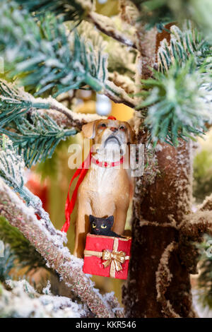 Cute cat and dog in Santa hats at home on Christmas eve Stock Photo - Alamy