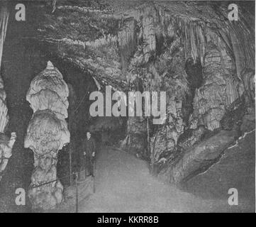 Postojnska Jama, a famous cave system in Slovenia, is one of the ...