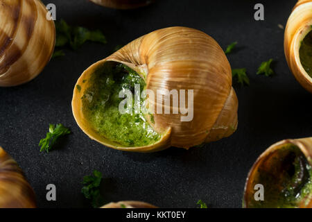 Fancy French Hot Escargot Appetizer with Butter and Garlic Stock Photo ...