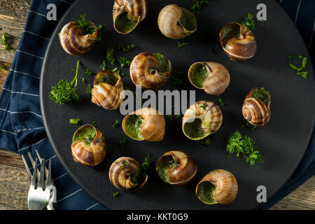 Fancy French Hot Escargot Appetizer with Butter and Garlic Stock Photo ...