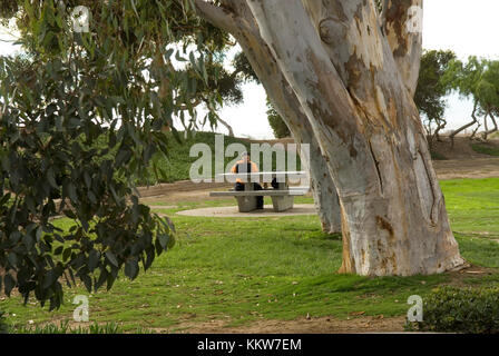 California Desert Rest Stop I-40, California, USA Stock Photo - Alamy