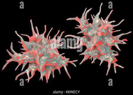 Acanthamoeba castellanii amoeba, computer illustration. This is the ...