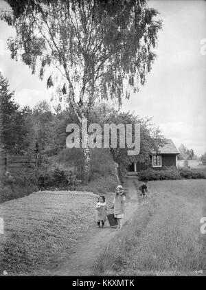 A photograph captures a serene forest scene shrouded in a thick layer ...