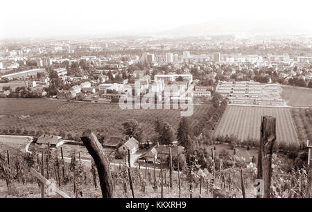 This panoramic photograph from 1961 shows the Ljudski vrt stadium in ...