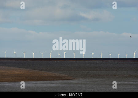 An offshore wind farm in Morecambe Bay, Lancashire, UK Stock Photo - Alamy