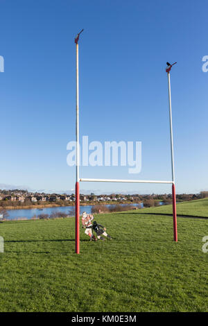 Rugby posts from Llanelli's Stradey Park, moved to Millennium Coastal ...
