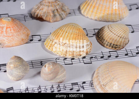 Sea shells on a music sheet concept Stock Photo - Alamy