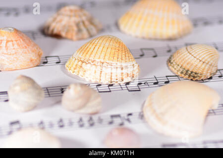 Seashells and paper with some musical notes Stock Photo - Alamy