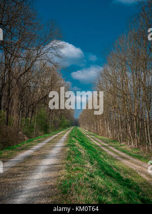 two parallel paths in spring Stock Photo - Alamy