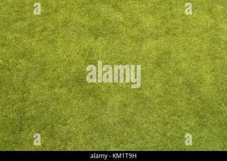 Surface of green grass. Abstract texture with smoke, mist or fog ...