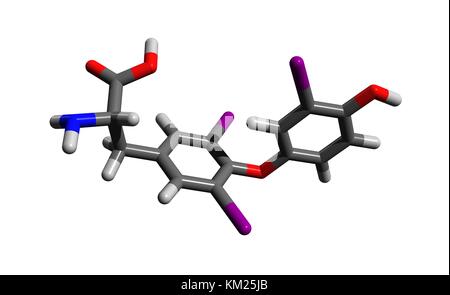 Chemical structure of a triiodothyronine (T3) molecule, thyroid hormone ...