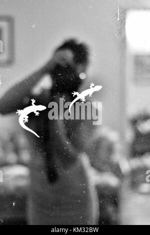 Two geckos fighting for territory on a window with the reflection of ...