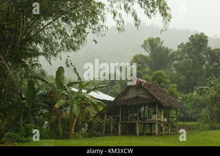 A traditional village hut in Papua Indonesia Stock Photo - Alamy