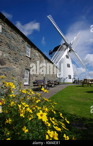 The restored and working Melin Llynnon Windmill near Llanddeusant on ...