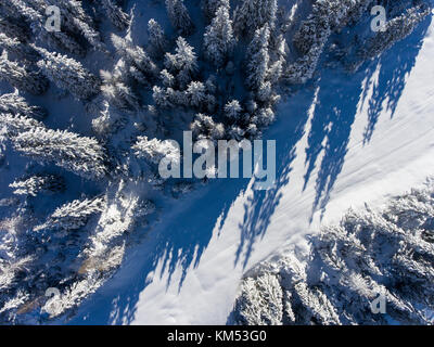 An aerial view of a forest landscape covered with snow and a mountain ...