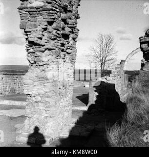 Gudhem Abbey Ruins in Sweden, a historical site showcasing the remains ...