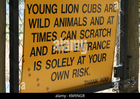 Lion warning danger signs /sign for visitors and car passengers ...