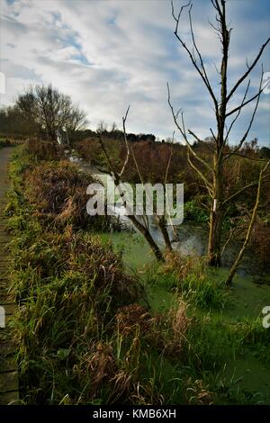 Bridge over river lark at mildenhall Stock Photo - Alamy