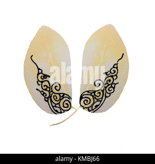 Skeleton Butterfly Leaf isolated Stock Photo - Alamy