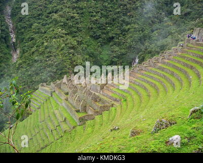 Ruins of Winay Wayna on the Royal Inca Trail, Peru Stock Photo - Alamy