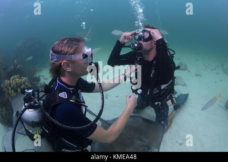 Scuba divers perform mask clearing skills in the shallow water of ...