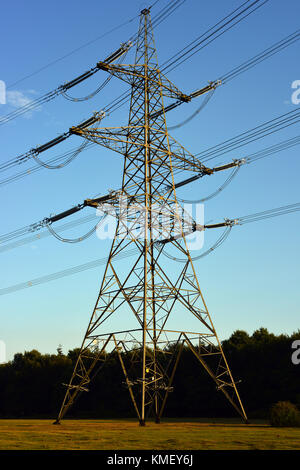 National Grid Supergrid pylons on the edge of the New Forest, Hampshire ...