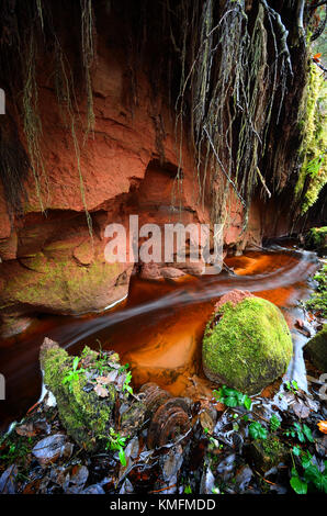 Beautiful, wide autumn river among forests and rocky shore. A calm and ...