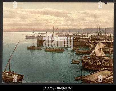 Algiers Algeria, view of the port Stock Photo - Alamy