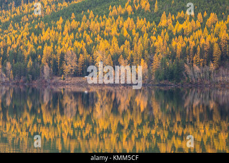 Autumn foliage surrounds Lake McDonald at the Glacier National Park ...