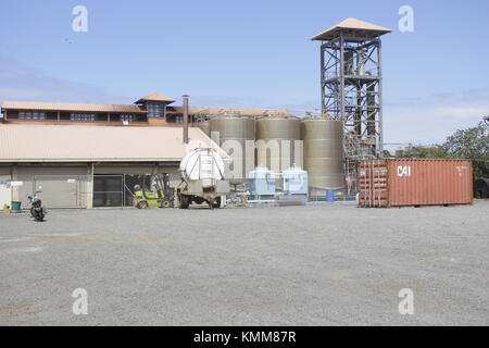 The Artisanal Distillery, The sugar cane that goes into their making is ...
