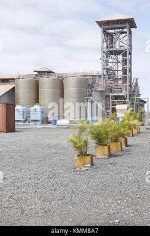 The Artisanal Distillery, The sugar cane that goes into their making is ...