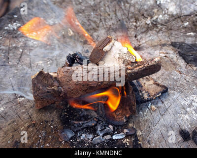 Burning birch bark on big tree stump close up top view Stock Photo - Alamy