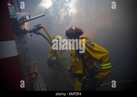 Bonsall, CA, USA. 7th Dec, 2017. Burning trees on Olive Hill Road throw ...