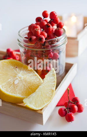 Cup rowan tea, rowan (Sorbus aucuparia), rowan tea, rowan leaf tea ...