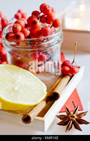 Cup rowan tea, rowan (Sorbus aucuparia), rowan tea, rowan leaf tea ...